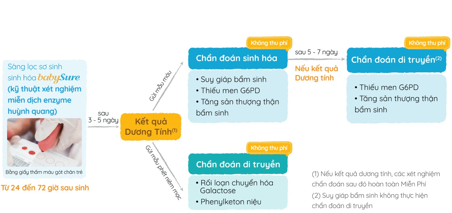Xét nghiệm máu gót chân cho trẻ sơ sinh là gì và được thực hiện như thế ...